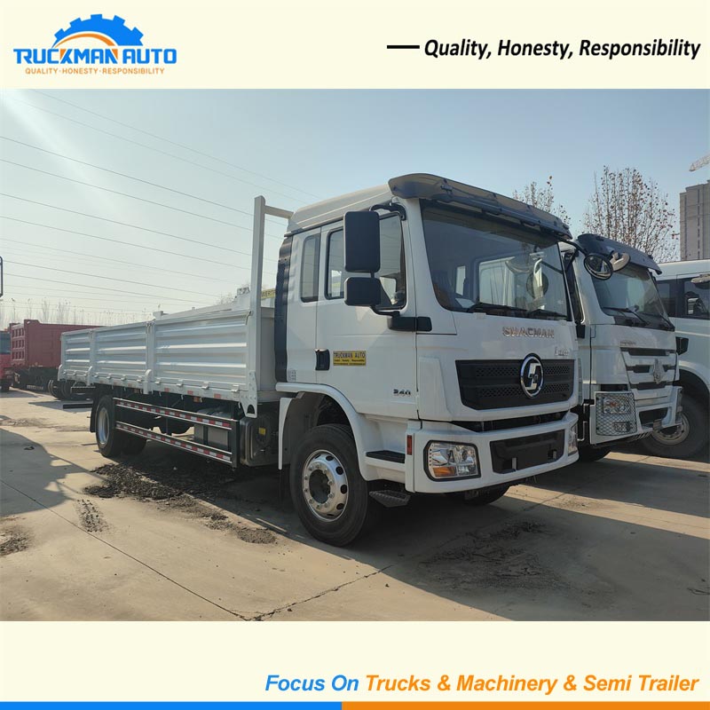 SHACMAN L3000 4x2 6 Wheels 10 Tons Lorry Cargo Truck